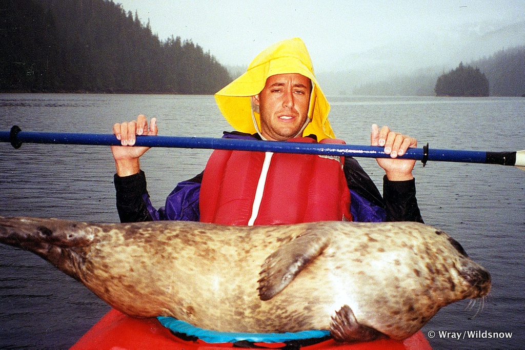 Paddling with a Seal - Thoughts on Backcountry Photography - The ...